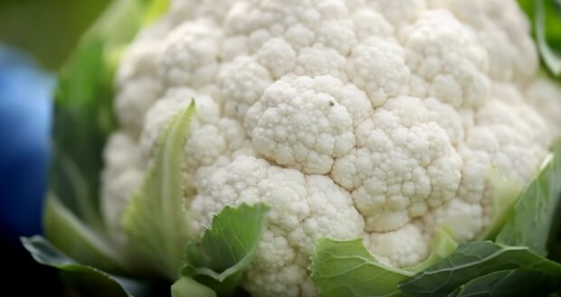 Фермери розповіли як успішно виростити цвітну капусту з насіння Читайте на Ukr Net