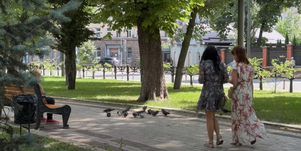 Гороскоп Таро на 12 липня для всіх знаків Зодіаку Читайте на Ukr Net