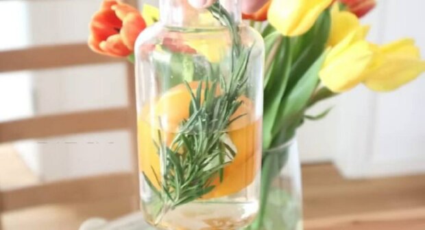 Як позбутися неприємного запаху в квартирі Читайте на Ukr Net